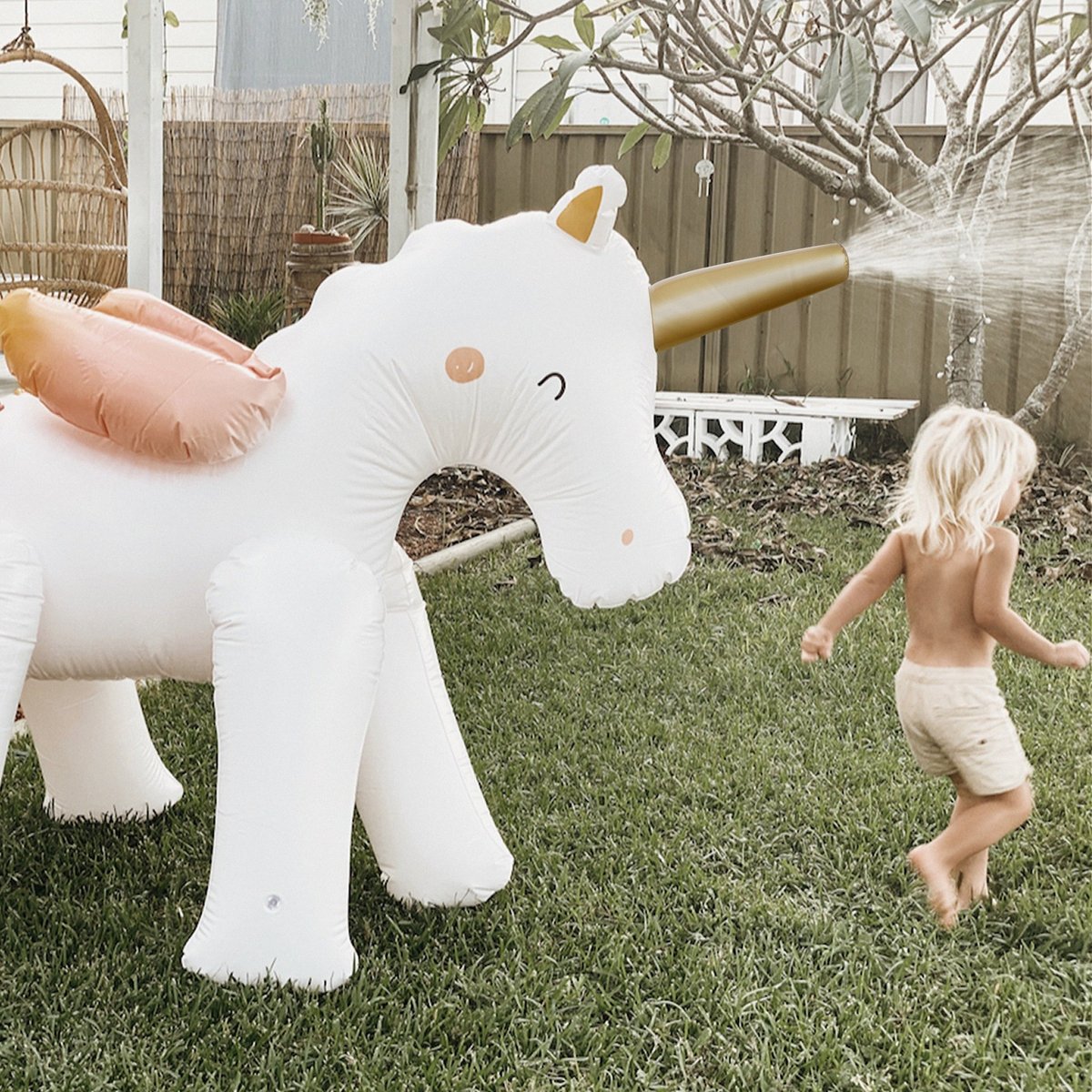 Pool Toys & Inflatables – Swanky Boutique