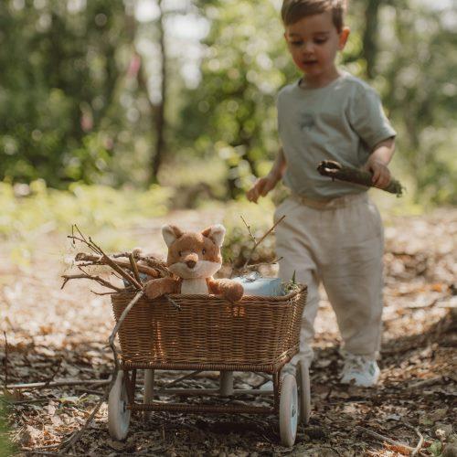 Cuddle Fox - Forest Friends – Swanky Boutique